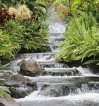 Wayne George Gallant Obituary - Belleville, Ontario | Rushnell Funeral ...